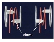 Stepper Motors : Claw Pole Version | Johnson Electric